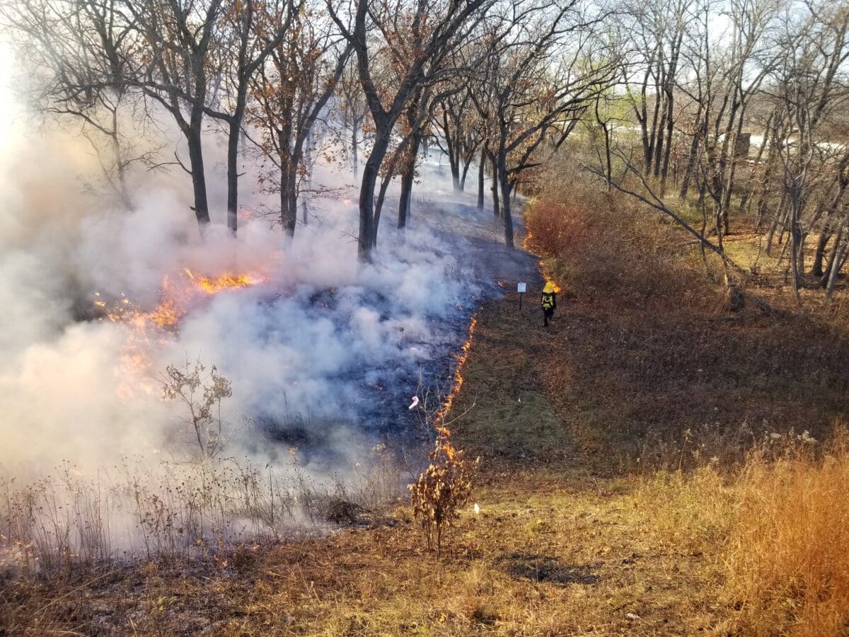 Native Habitat Stewardship & Maintenance Services