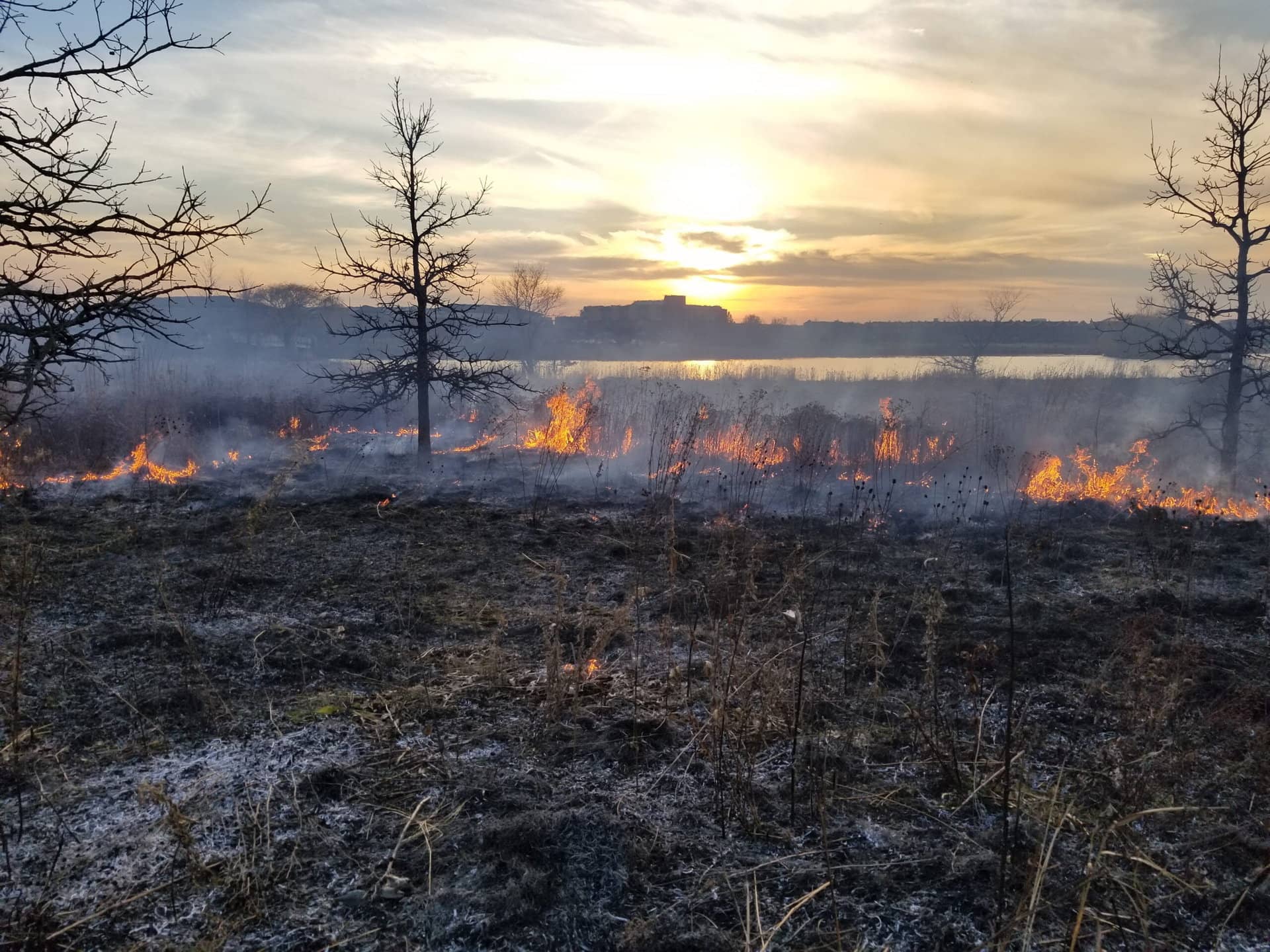 Contact Us | Map, Address, On-Line Form